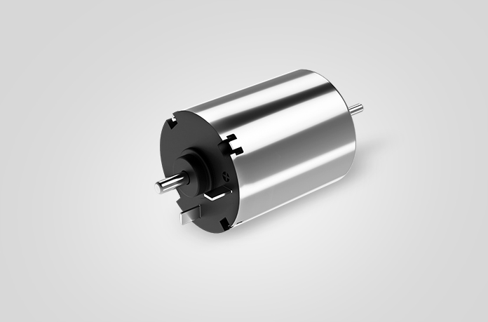 24mm Brushed DC Motor - ZHAOWEI