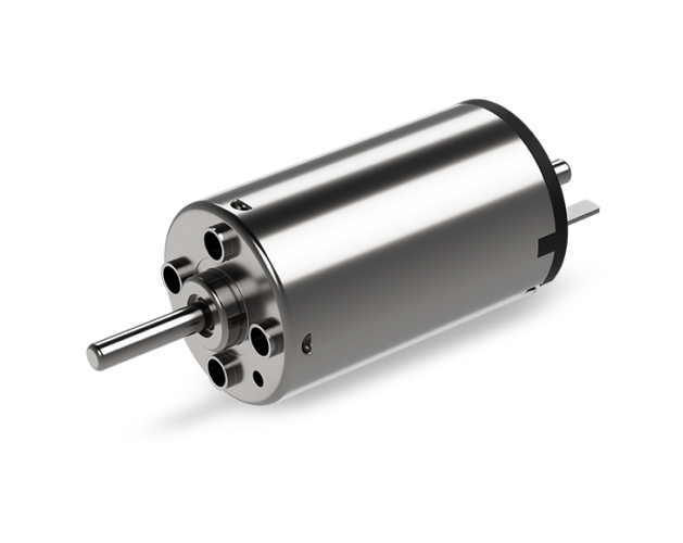 Brushed DC Motor - ZHAOWEI